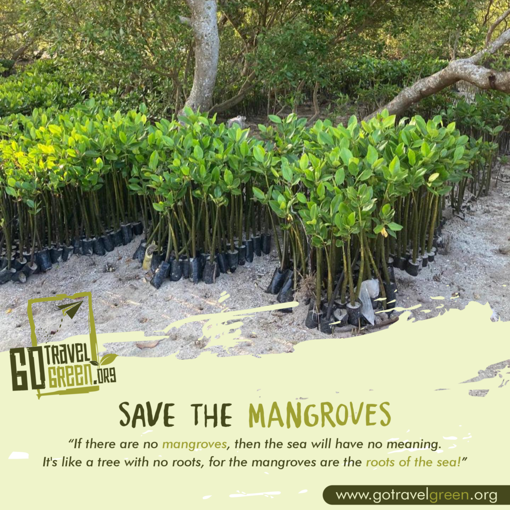 Go Travel Green | Sustainable Tourism Destinations & Plastic-Free Safaris